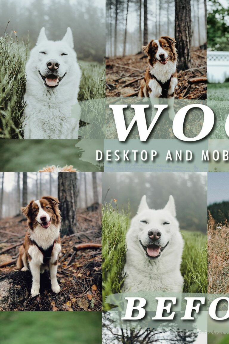 12 Woof Lightroom Presets – MasterBundles