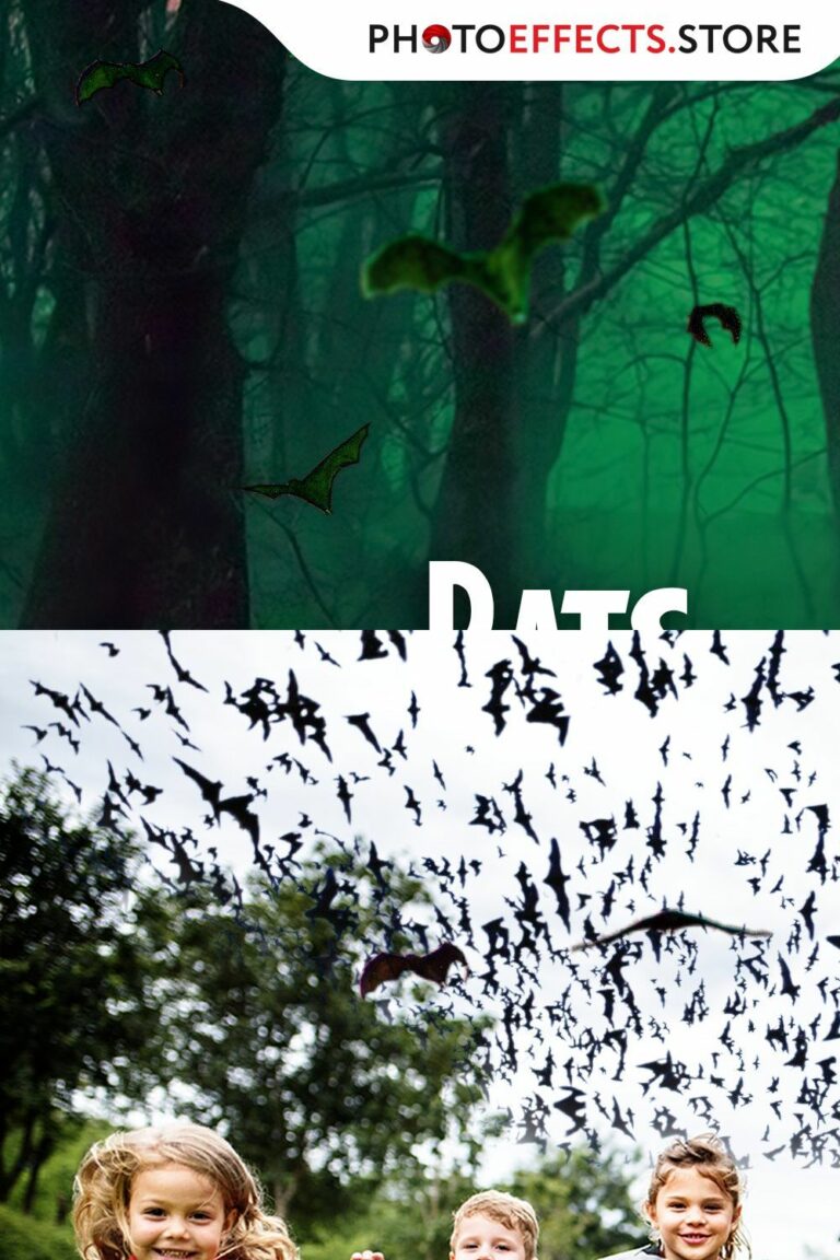 20 Bat Photo Overlays – MasterBundles
