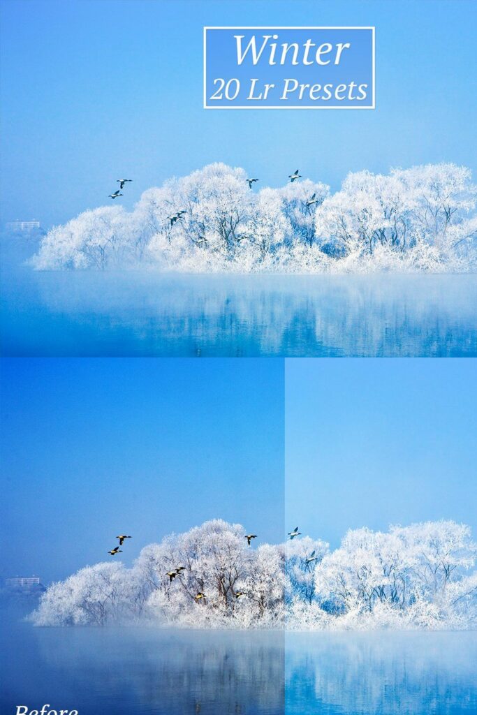 20 Winter Lr Presets – MasterBundles