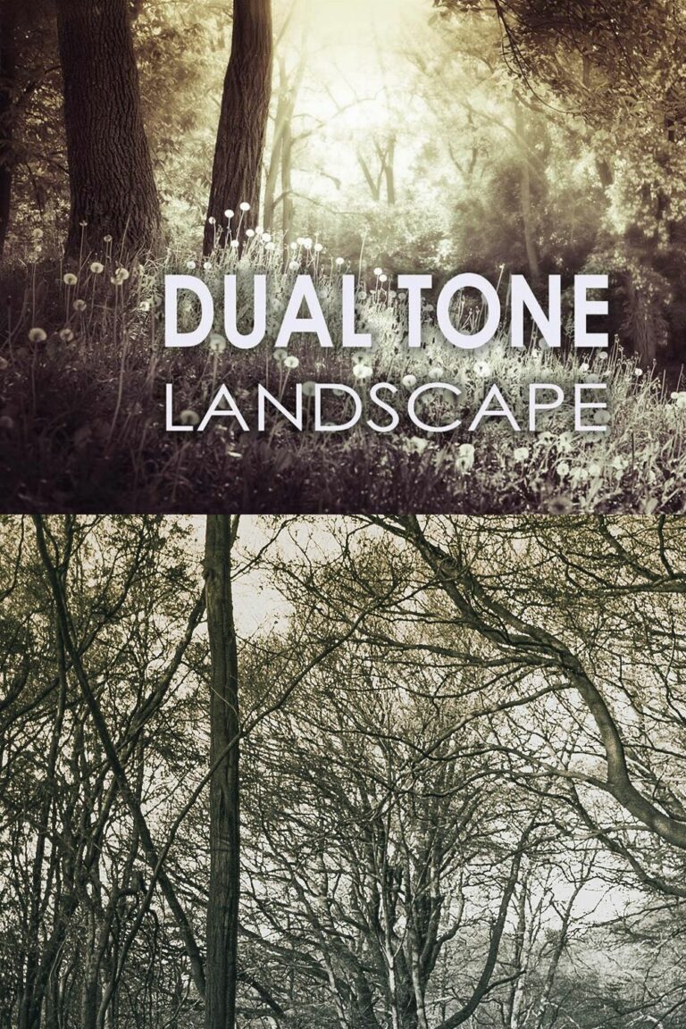 25 Dual Tone Landscape Presets – MasterBundles
