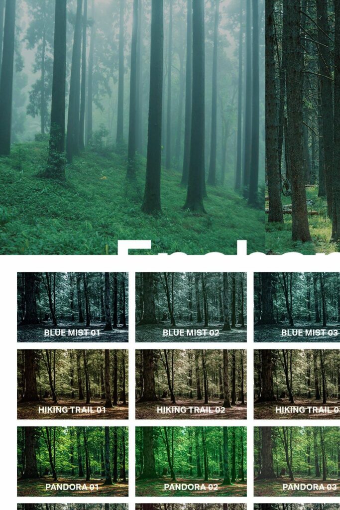 25 Enchanted Forest Lightroom Preset – MasterBundles