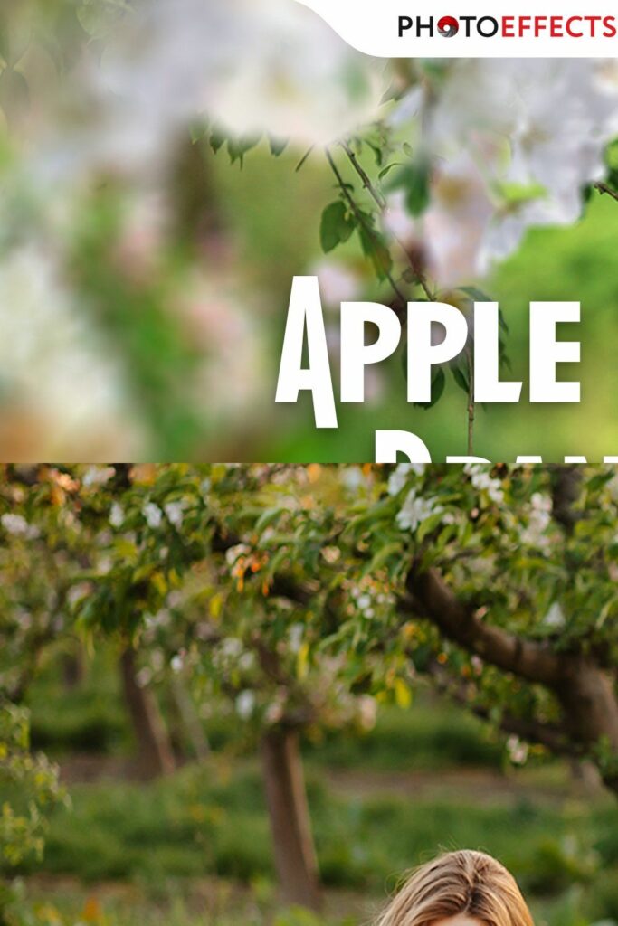 30 Apple Tree Branch Photo Overlays – MasterBundles