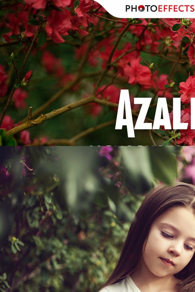30 Azalea Photo Overlays – MasterBundles