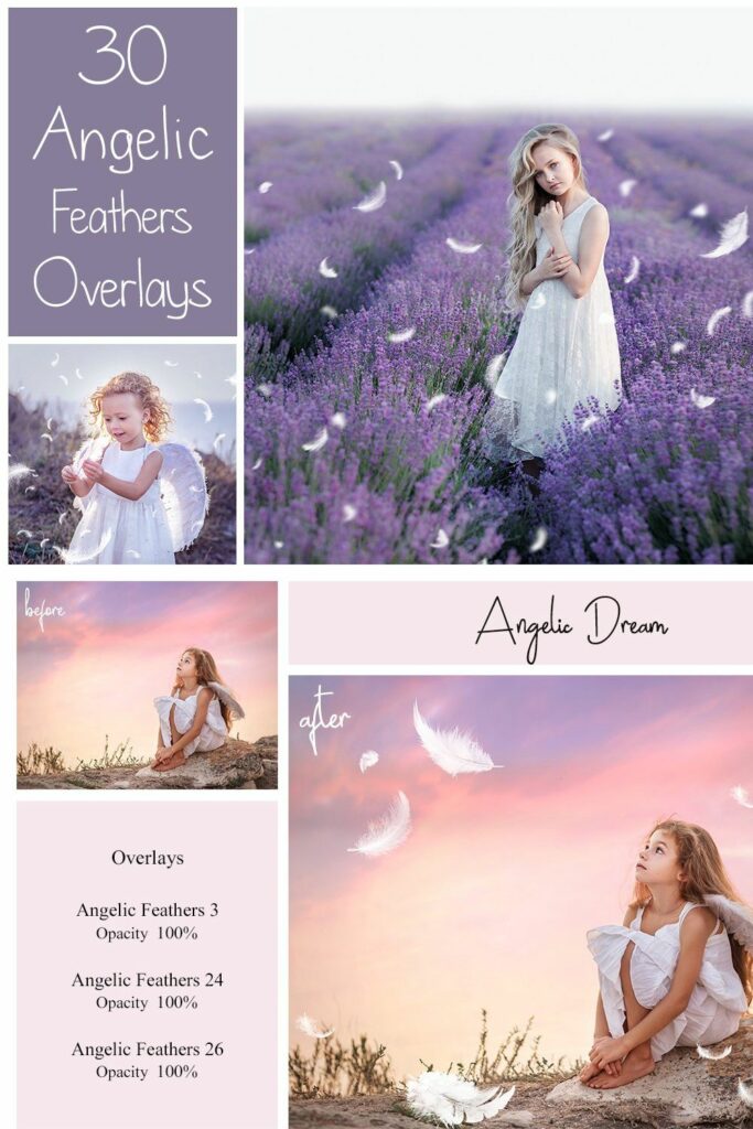 30 Feather Overlays - PNG – MasterBundles