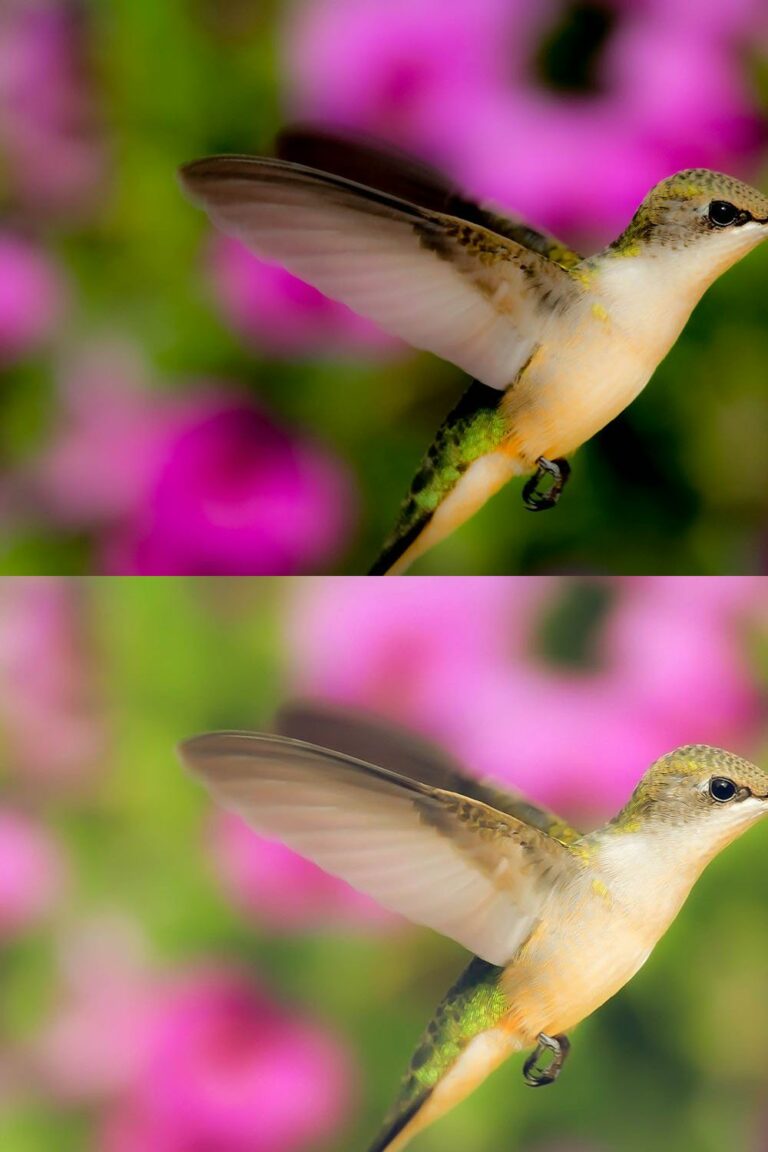 30 Painting Presets for Lightroom – MasterBundles