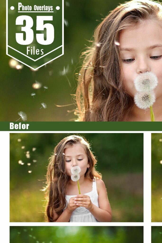 35 dandelion flowers Photo Overlays – MasterBundles