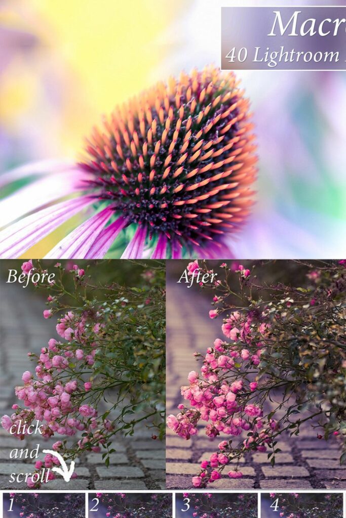40 Macro Lr Presets – MasterBundles