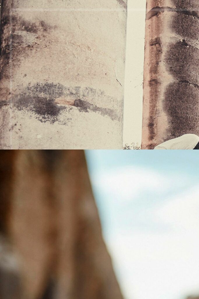 50 Warm Wedding LUTs Pack – MasterBundles