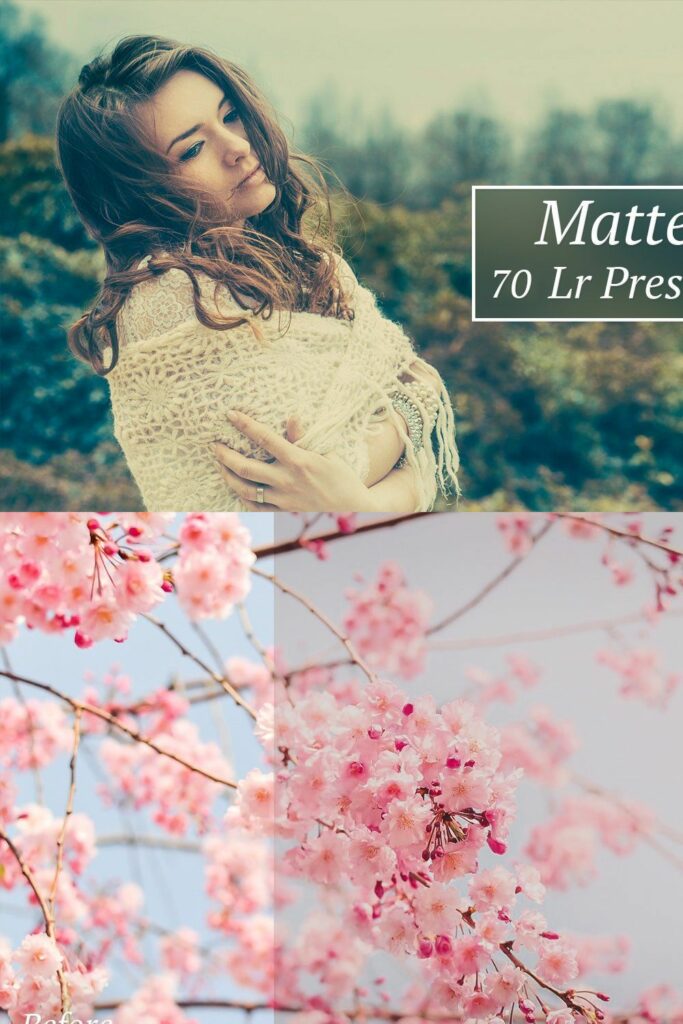 70 Matte LR Presets – MasterBundles