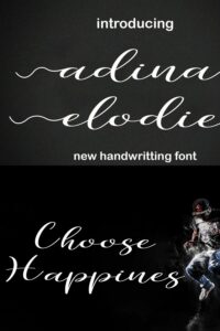 Adina Elodie Font Script – MasterBundles