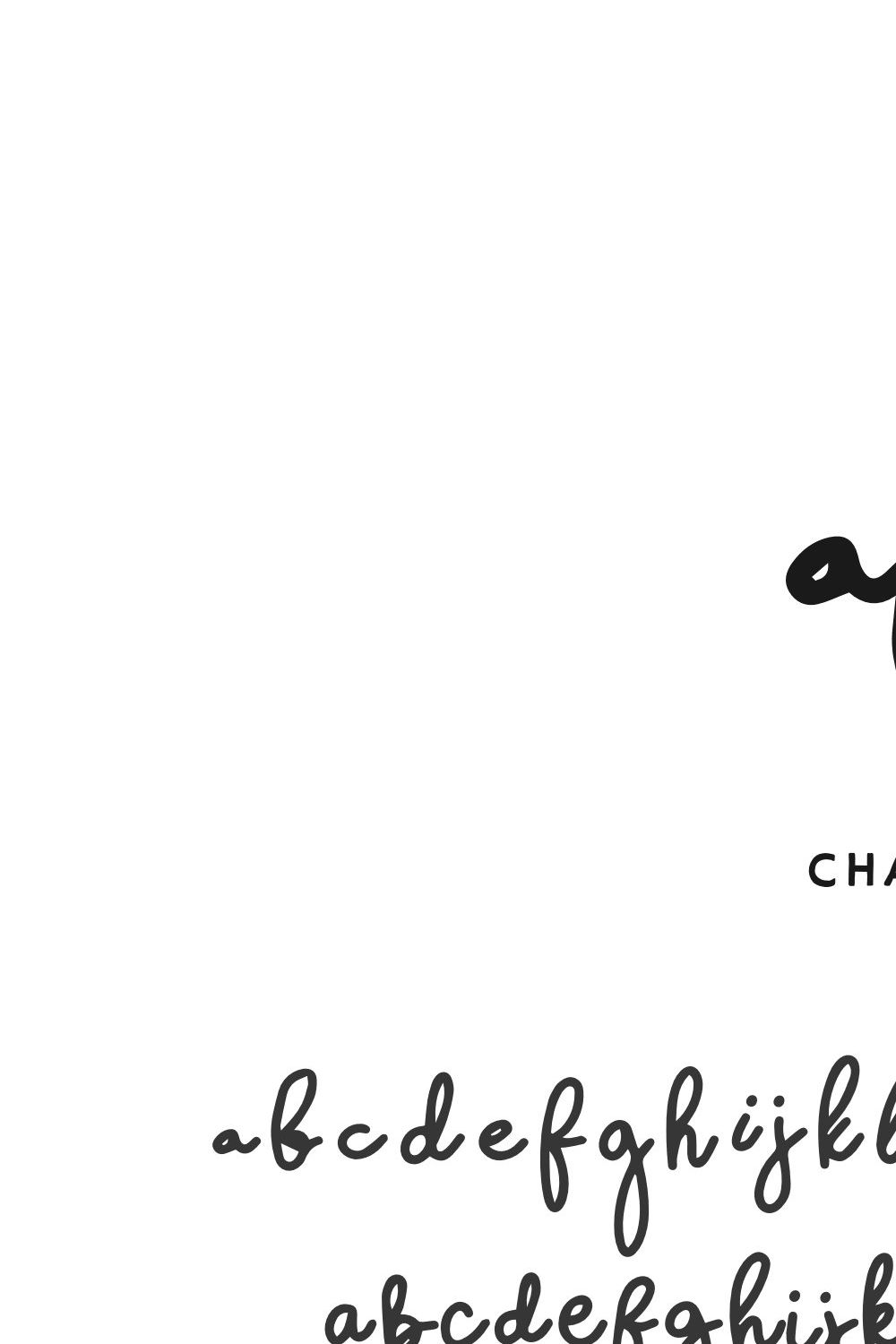 After — A Loopy All-Lowercase Script – MasterBundles