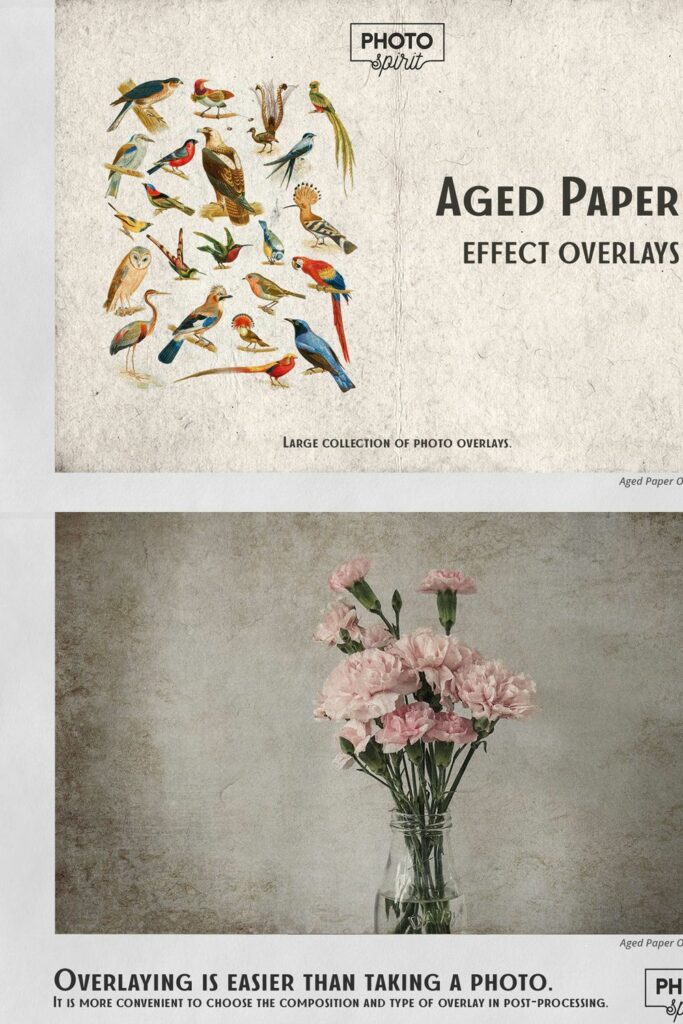 Aged Paper Effect Overlays – MasterBundles