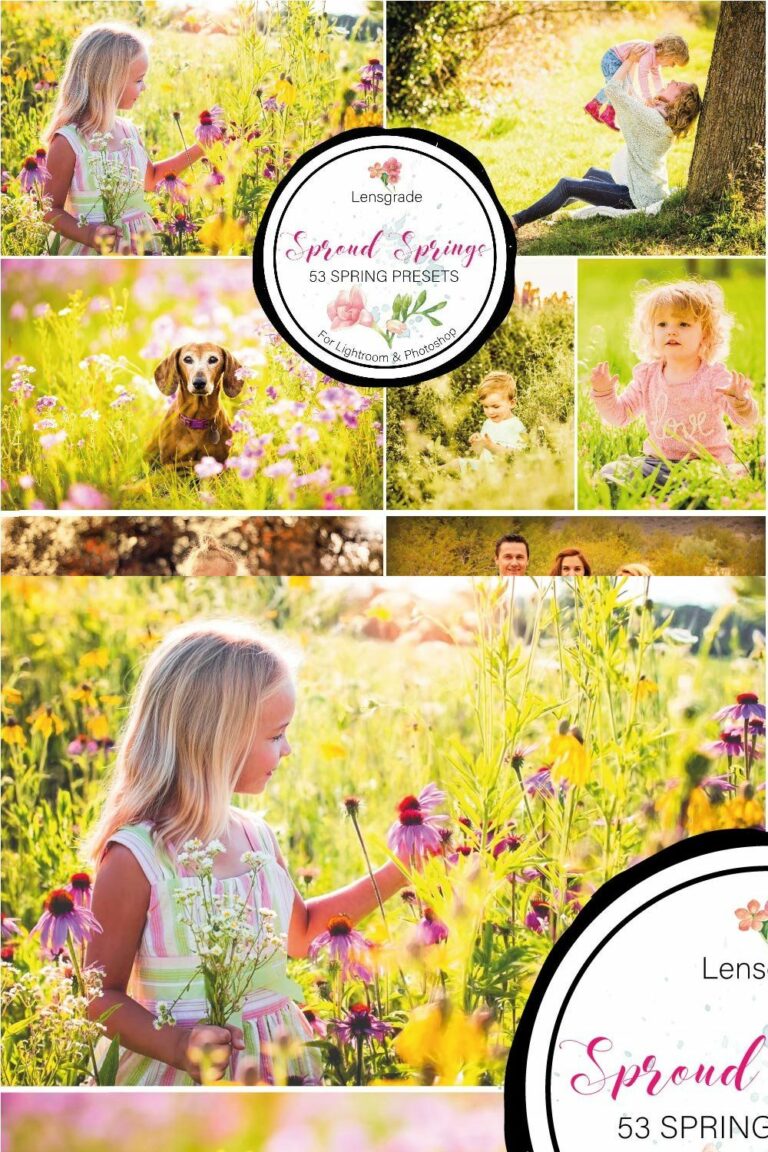 All 4 Seasons! Big Bundle! – MasterBundles