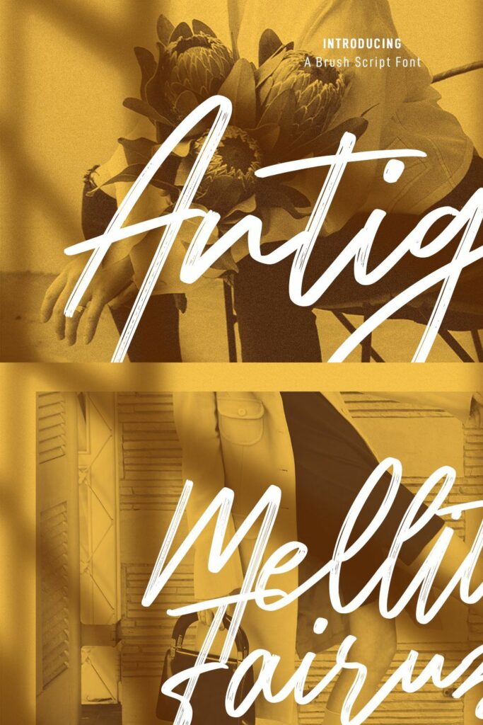 Antigor Brush Script Font – MasterBundles