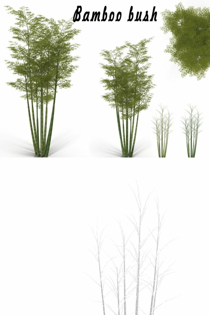 Bamboo bush – MasterBundles