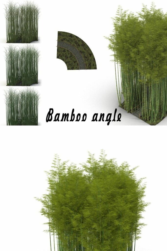 Bamboo corridor # 1 – MasterBundles