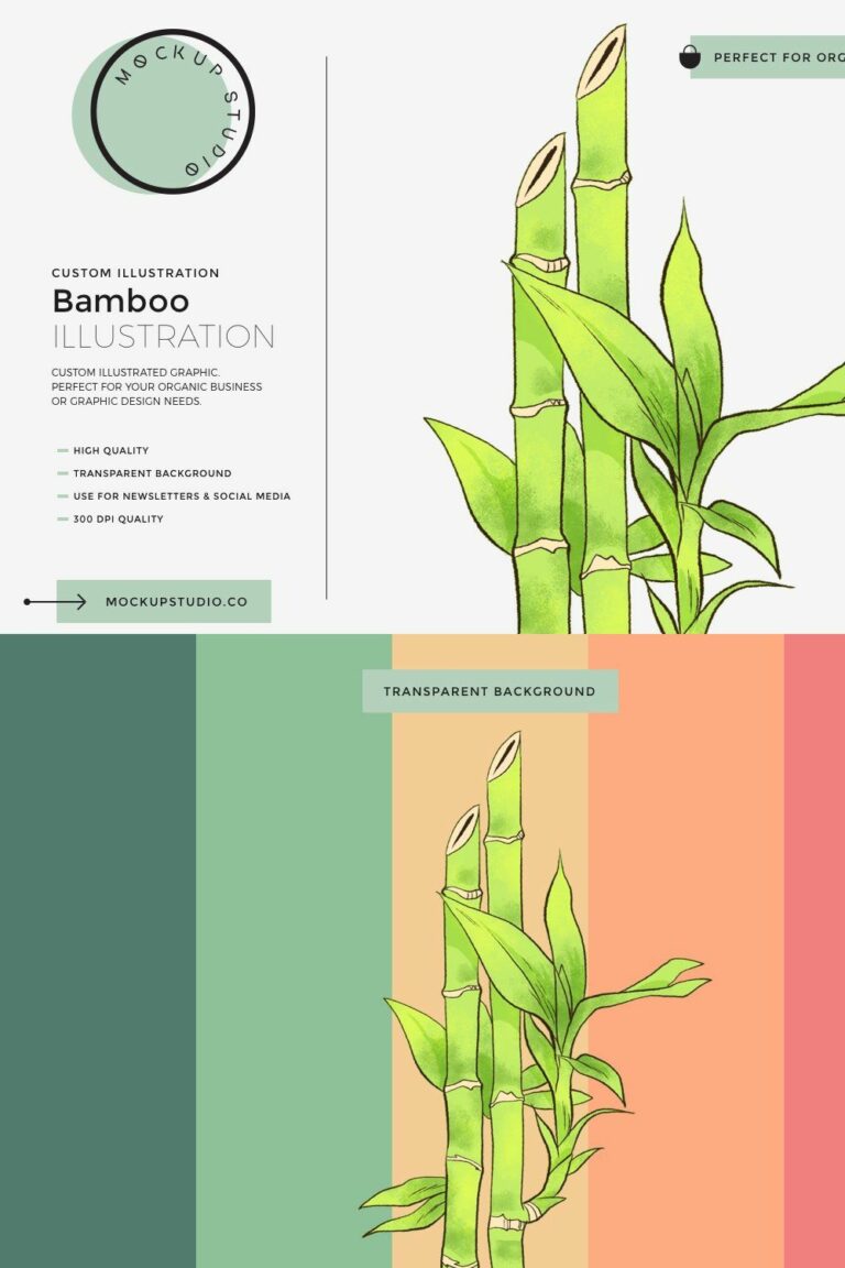Bamboo Custom Illustration – MasterBundles