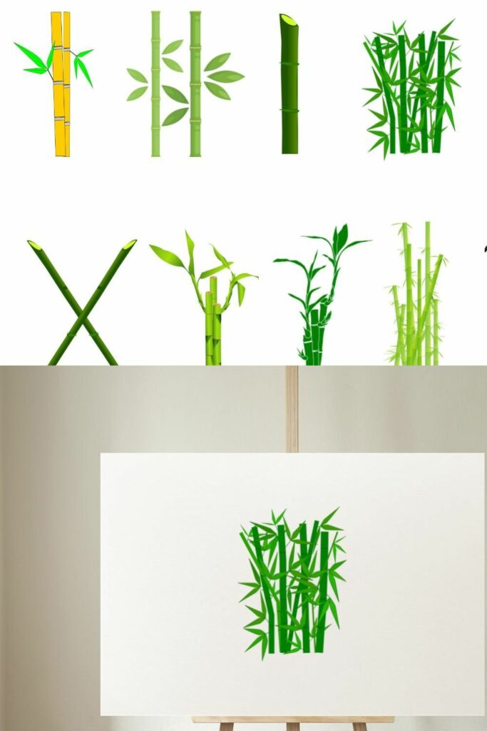 Bamboo Vector Illustration Bundles – MasterBundles