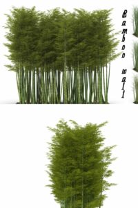 Bamboo wall – MasterBundles