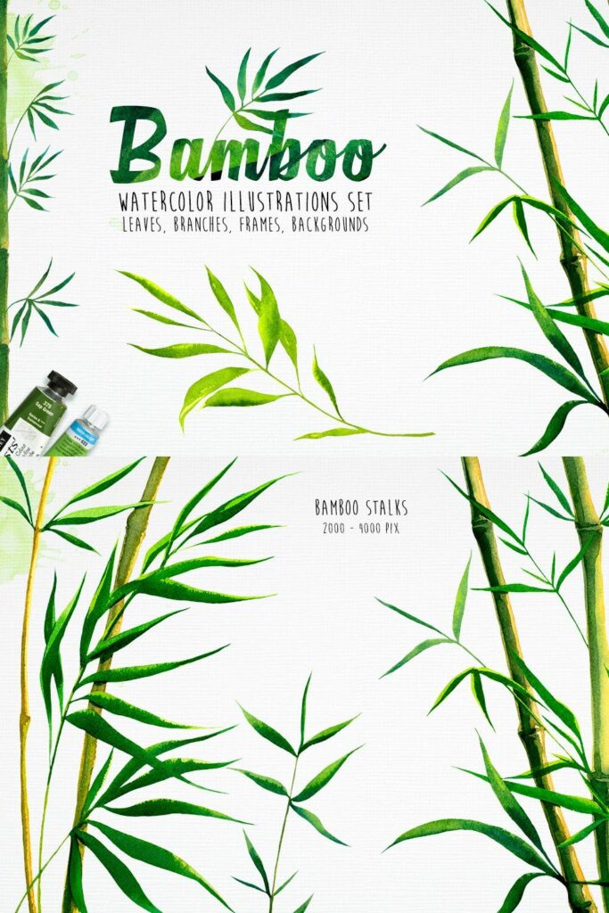 Bamboo. Watercolor illustrations. – MasterBundles