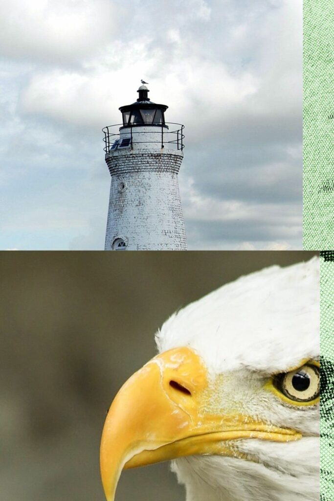 Banknote Money Effect – MasterBundles