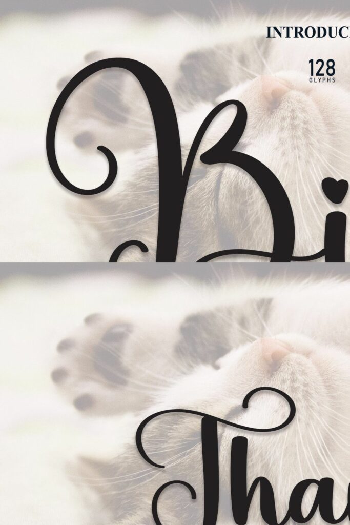Billi | Script Font – MasterBundles