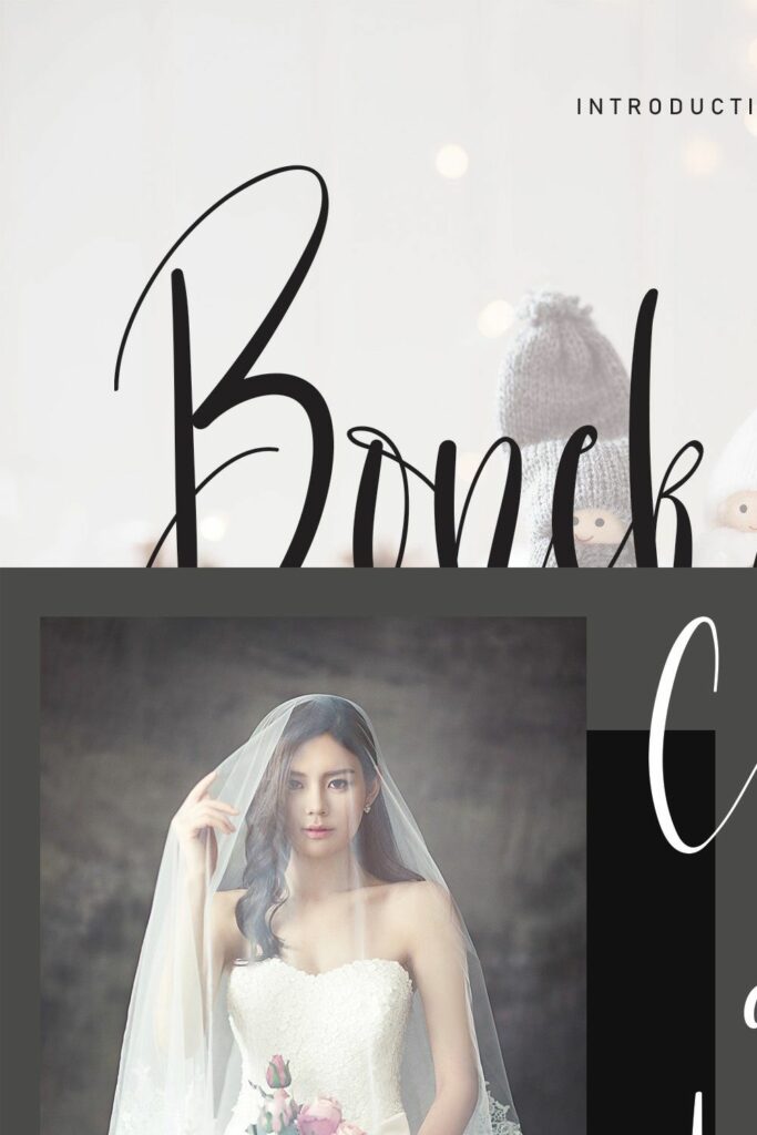 Bonekastar | Script font – MasterBundles