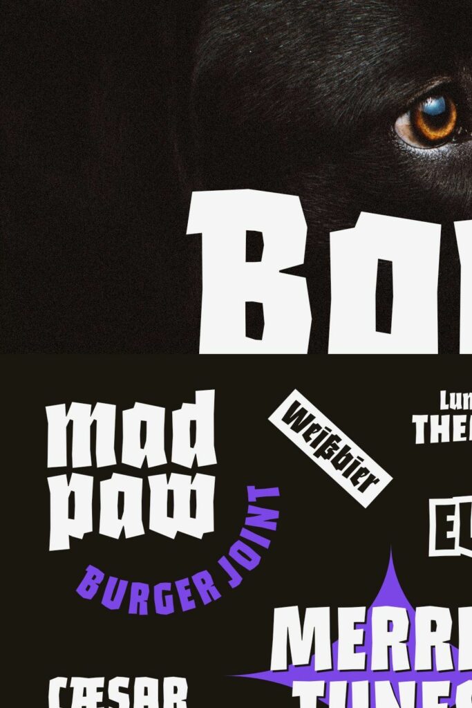 Bork: a blackletter-inspired font – MasterBundles