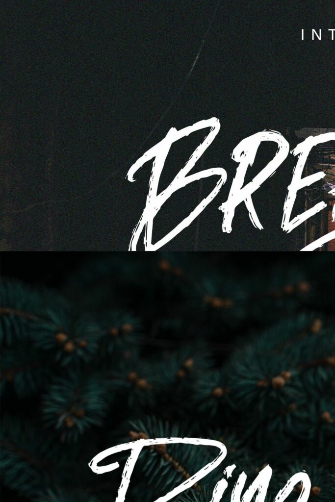 BREAKING RULE - Rough Brush Font – MasterBundles