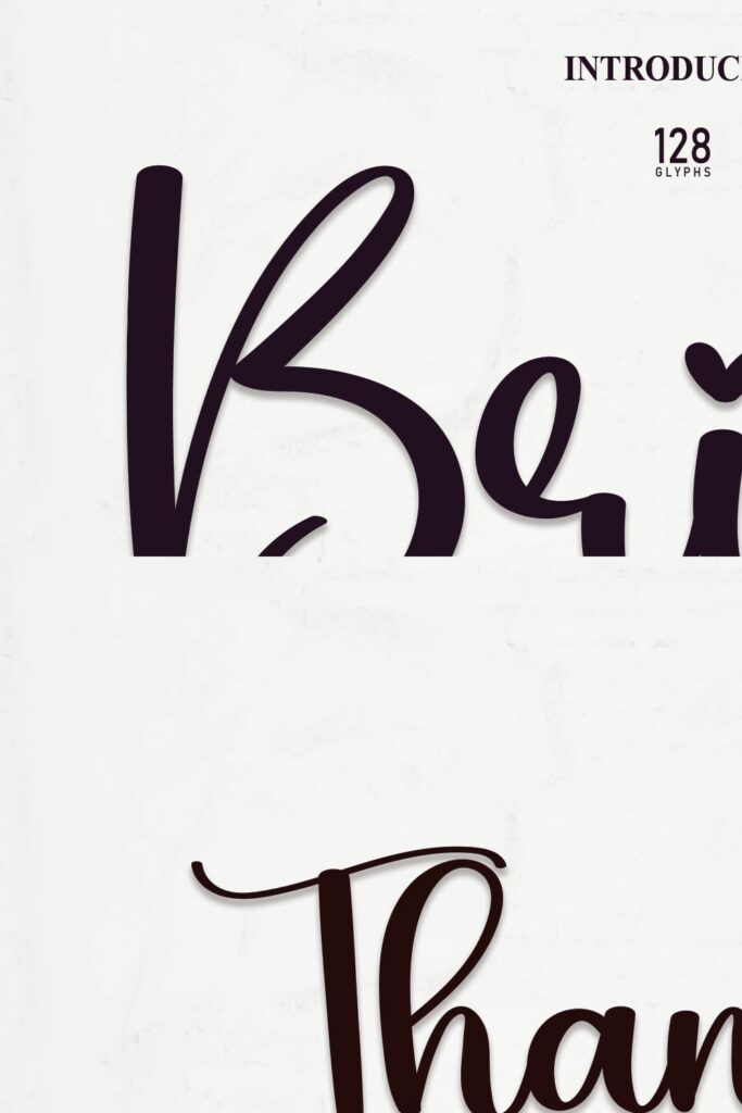 Bride | Script Font – MasterBundles
