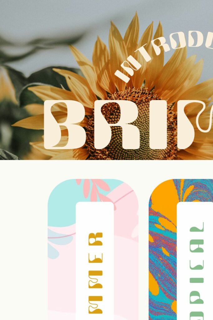 Brimbo - Modern Display Font – MasterBundles