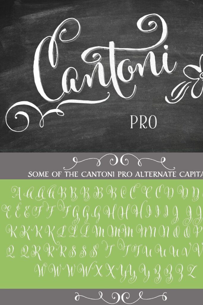Cantoni Pro Hand Lettered Font – MasterBundles