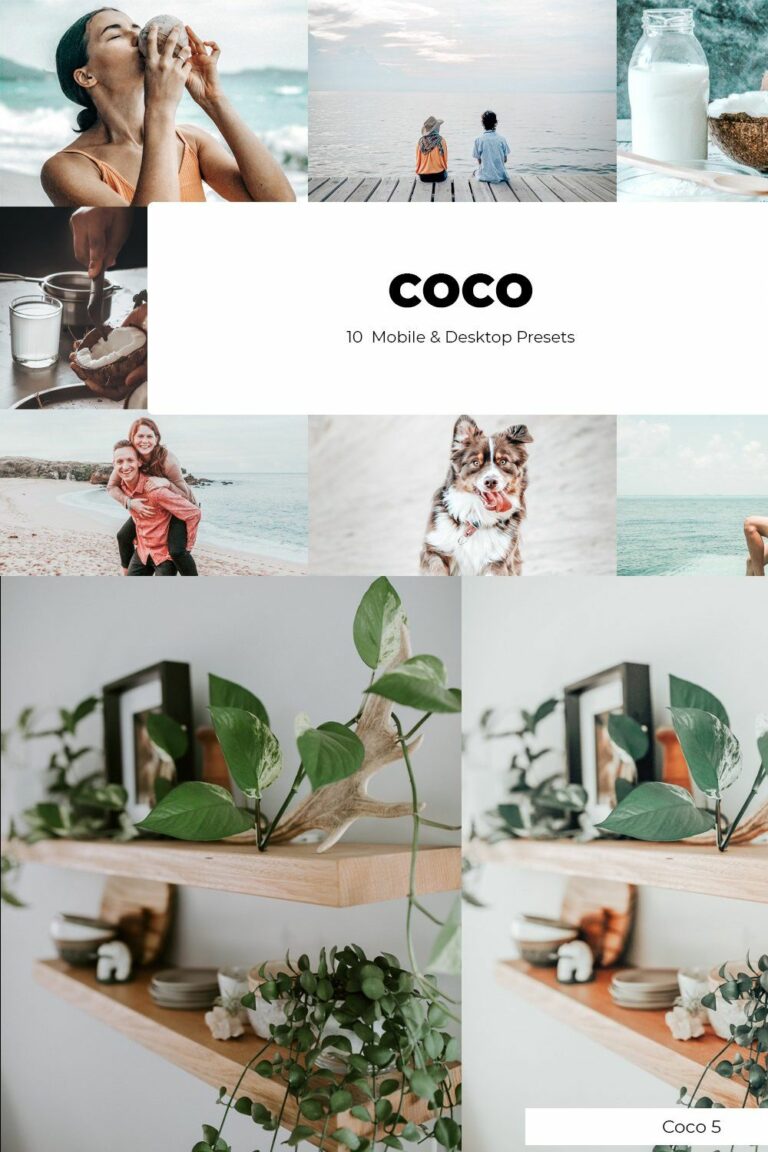 COCO Lightroom Presets – MasterBundles