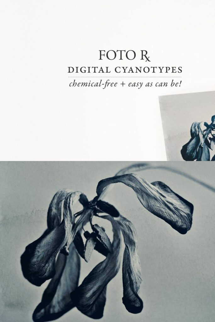 Digital Cyanotype Effect – MasterBundles