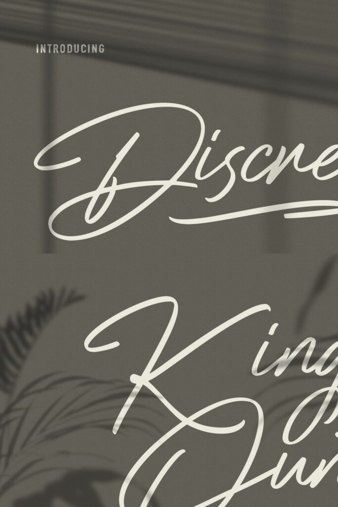 Discreates Script Display Font – MasterBundles