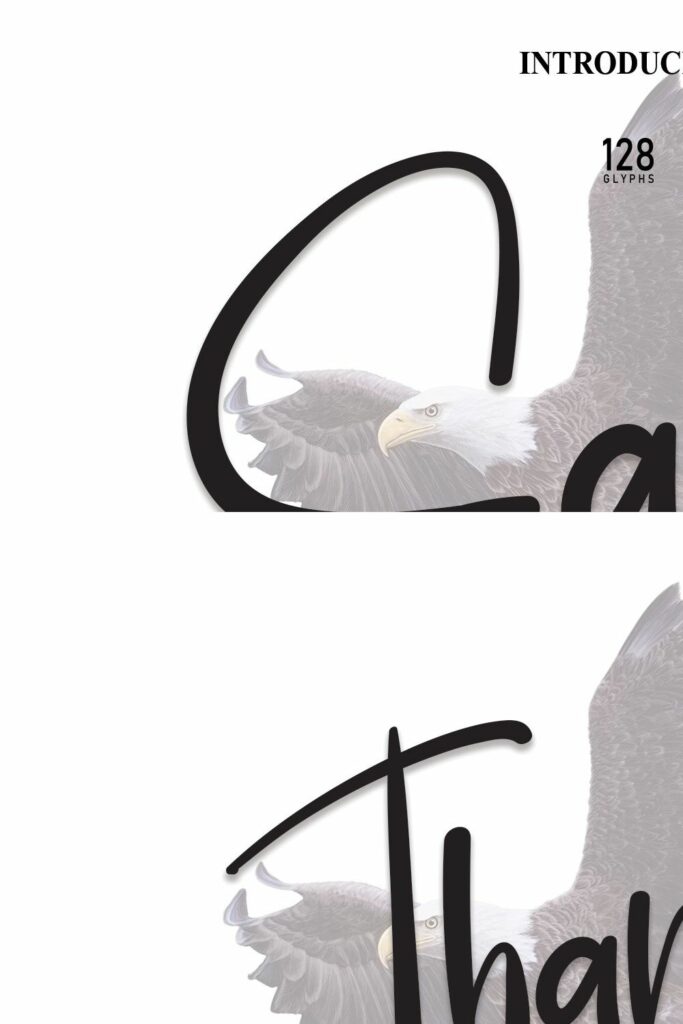 Eagle | Script Font – MasterBundles