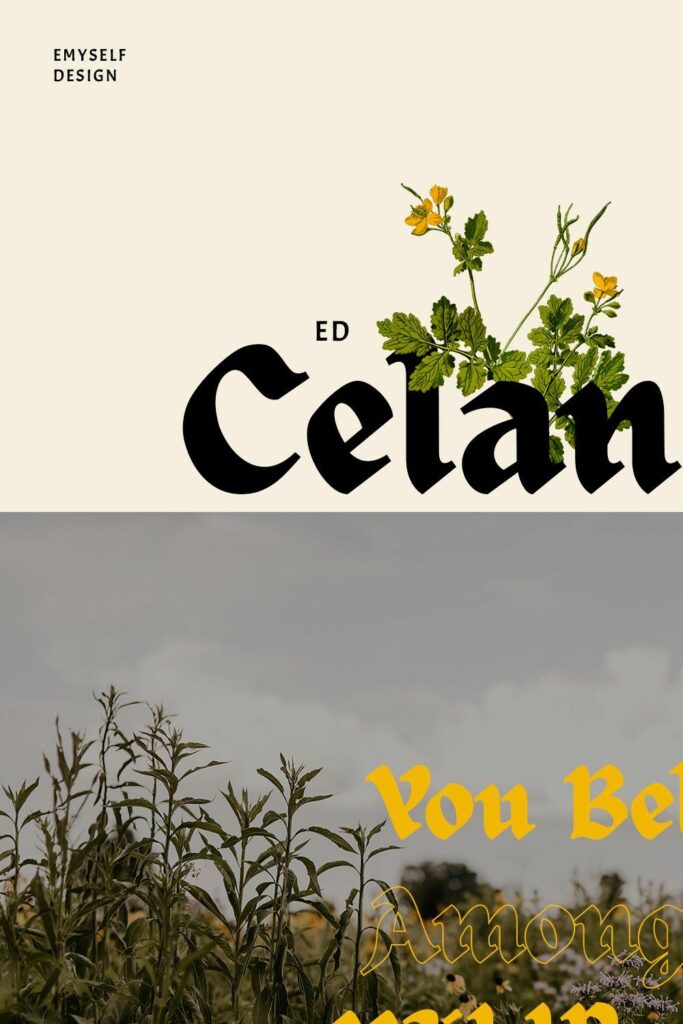 ED Celandine Typeface – MasterBundles