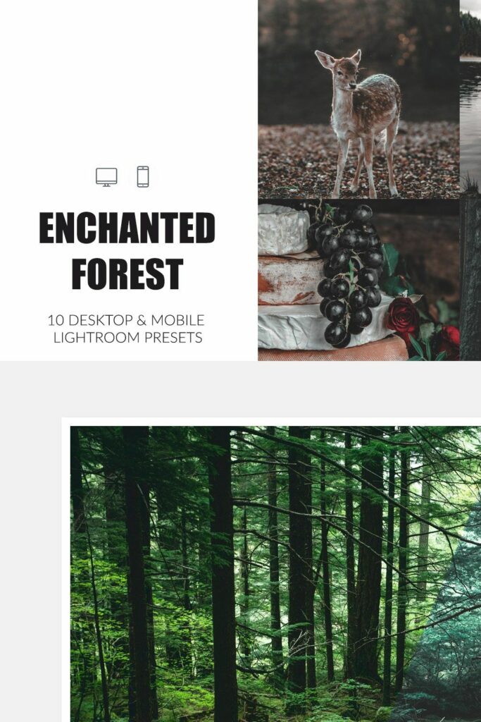 Enchanted Forest Lightroom Presets – MasterBundles