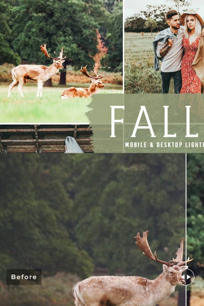 Fallow Pro Lightroom Presets – MasterBundles