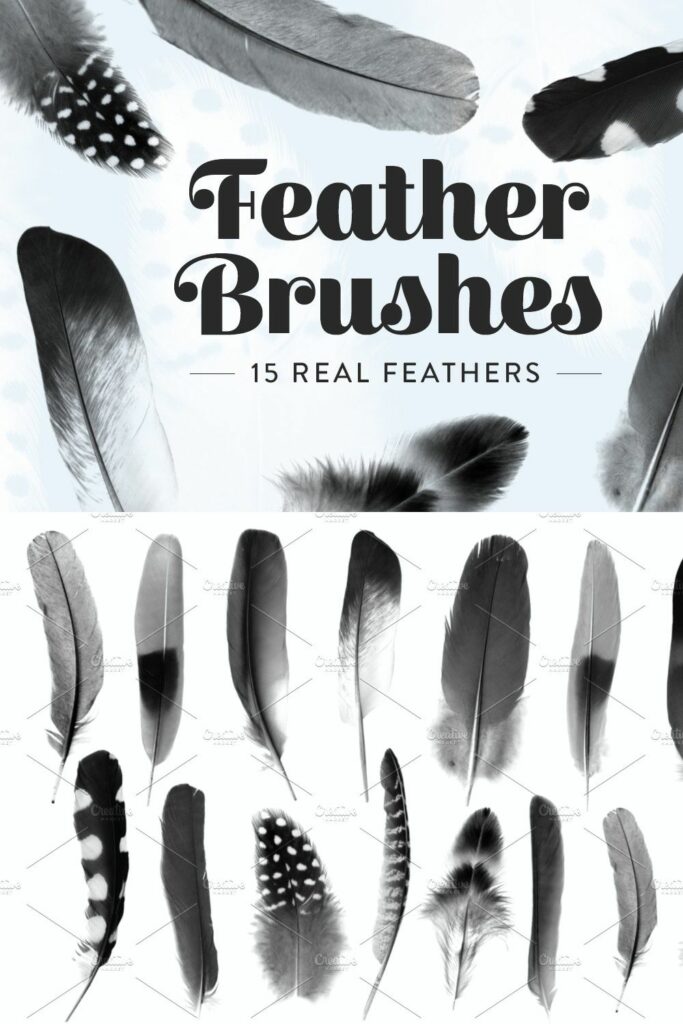 Feather Photoshop Brushes – MasterBundles