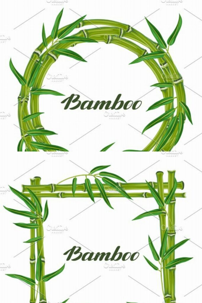 Frames with bamboo plants. – MasterBundles