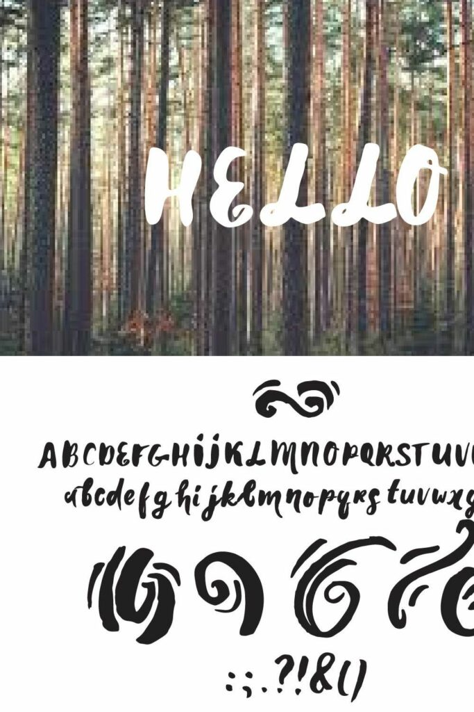 Hello font – MasterBundles