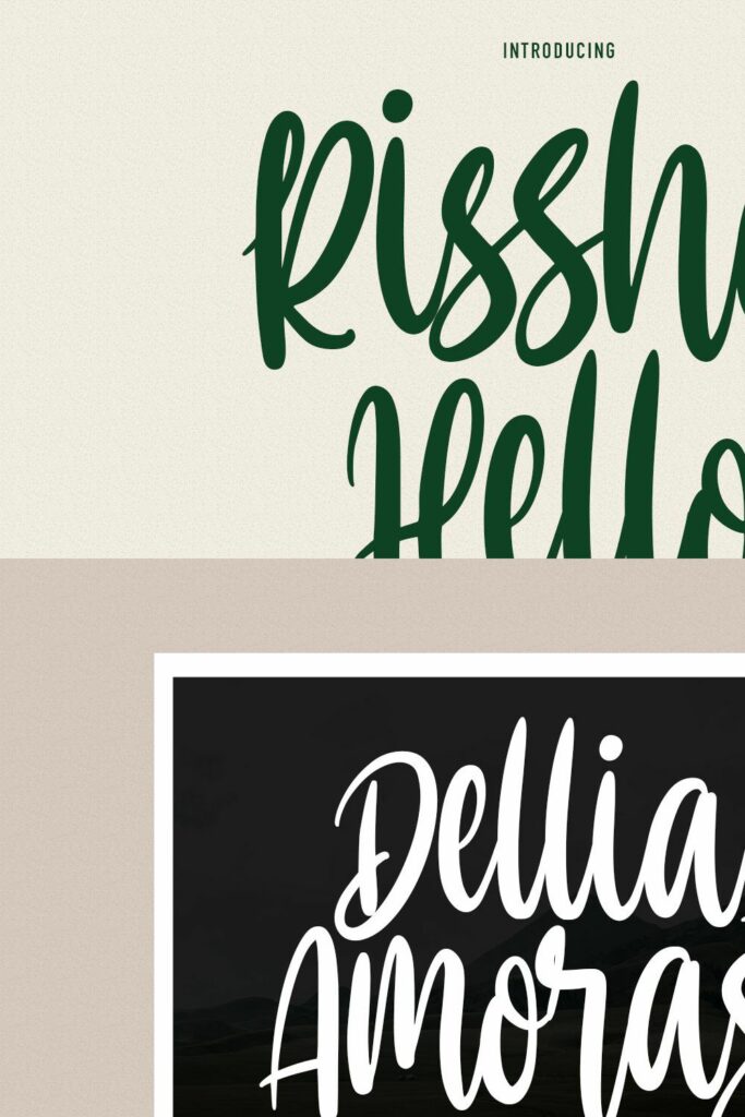 Hello Rissha Handwritten Script Font – MasterBundles