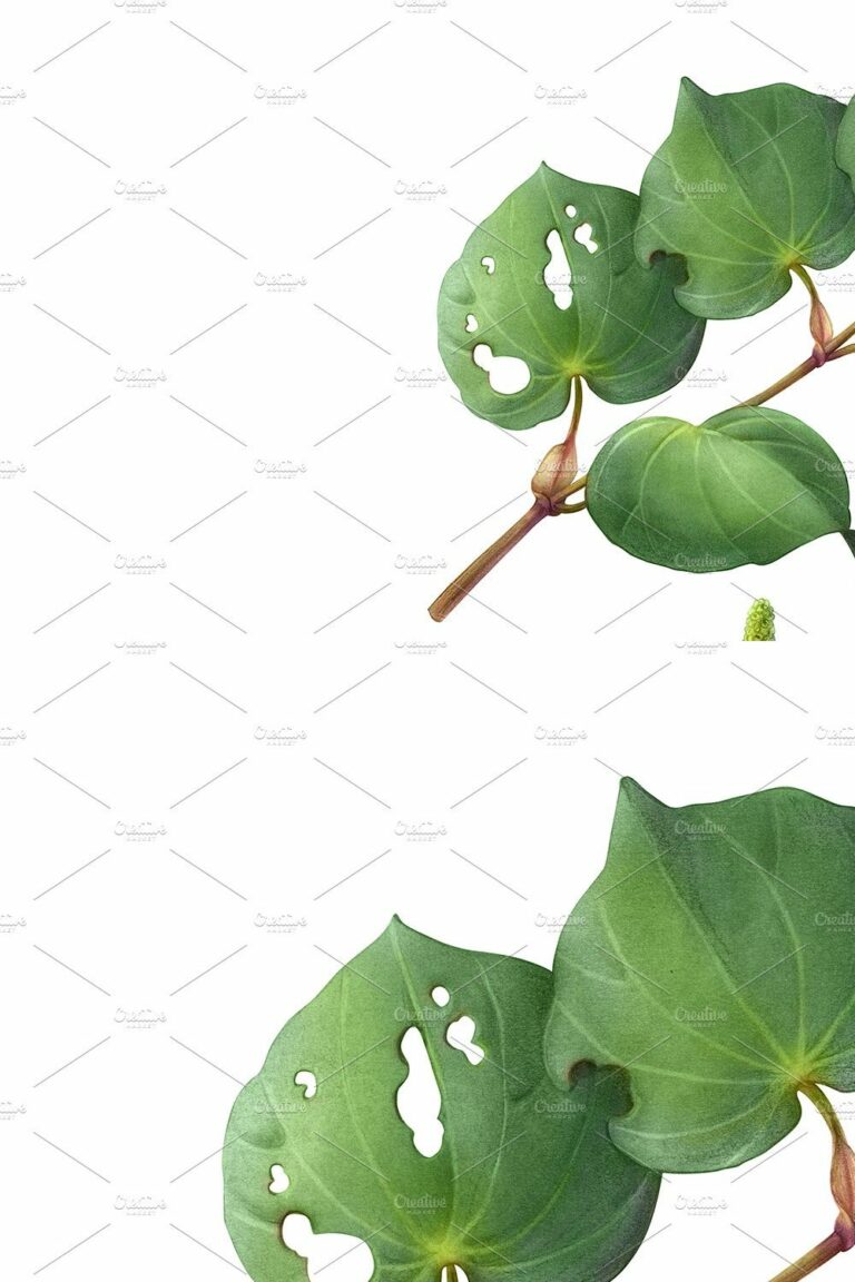 Kawakawa Tree Branch Illustration – MasterBundles