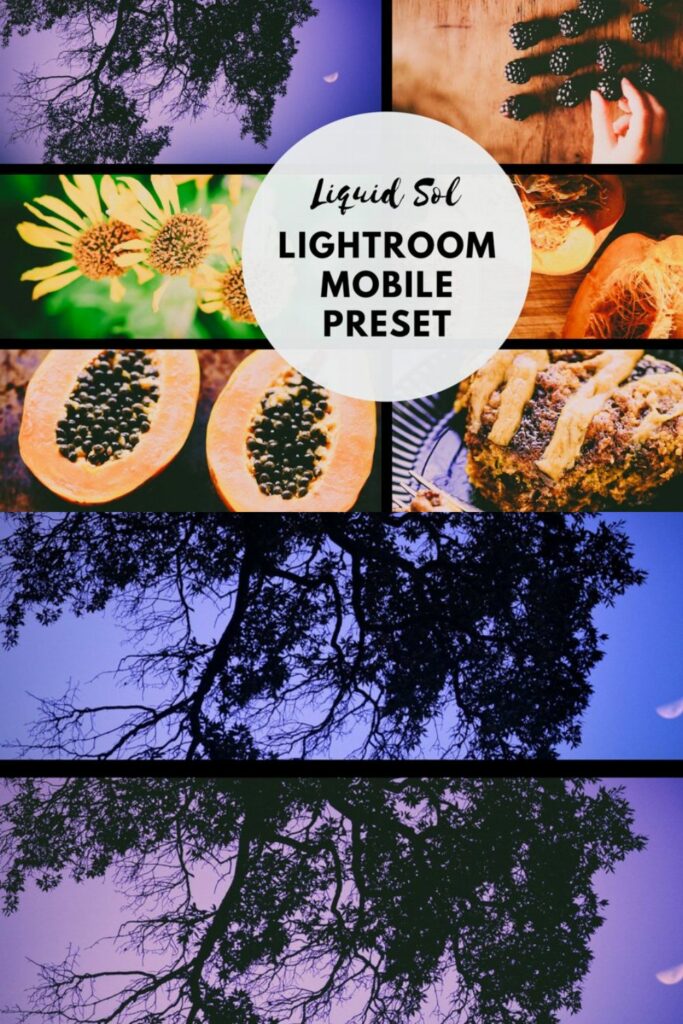 Liquid Sol Lightroom Mobile Preset – MasterBundles
