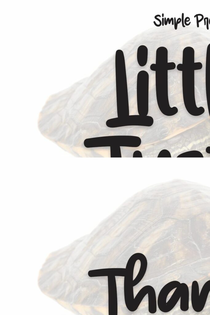 Little Turtle | Script Font – MasterBundles