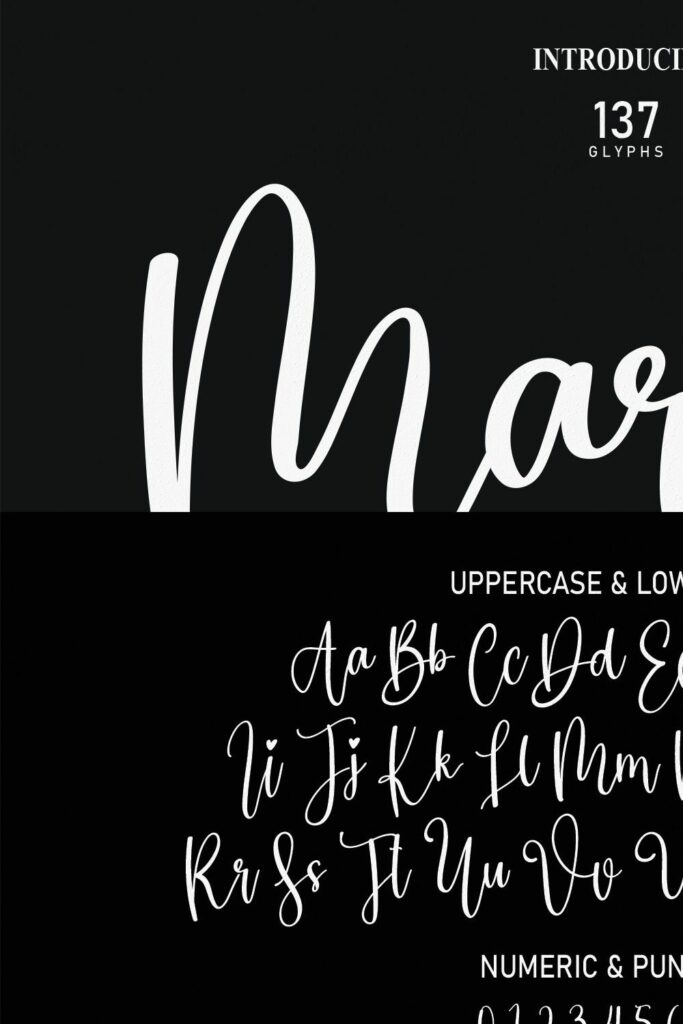 Market | Script Font – MasterBundles
