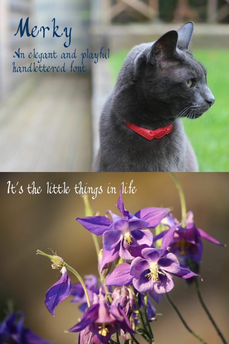 Merky - an elegant and playful font – MasterBundles