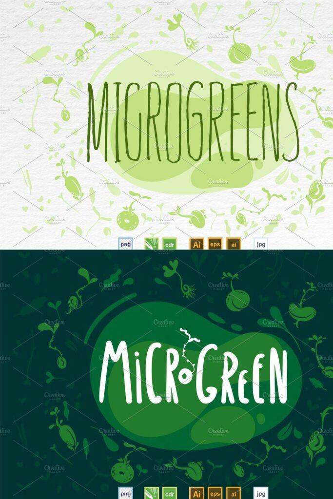 Microgreen illustration set 3 – MasterBundles
