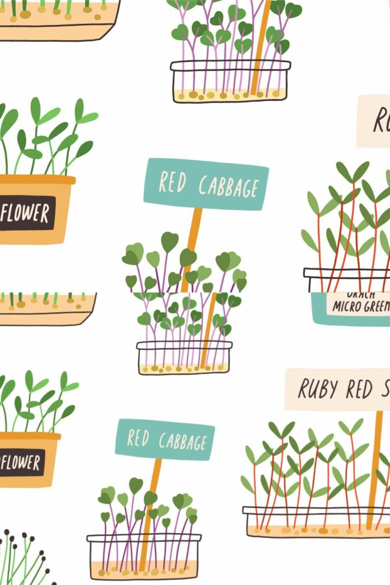 Microgreens, sprouted grains pattern – MasterBundles